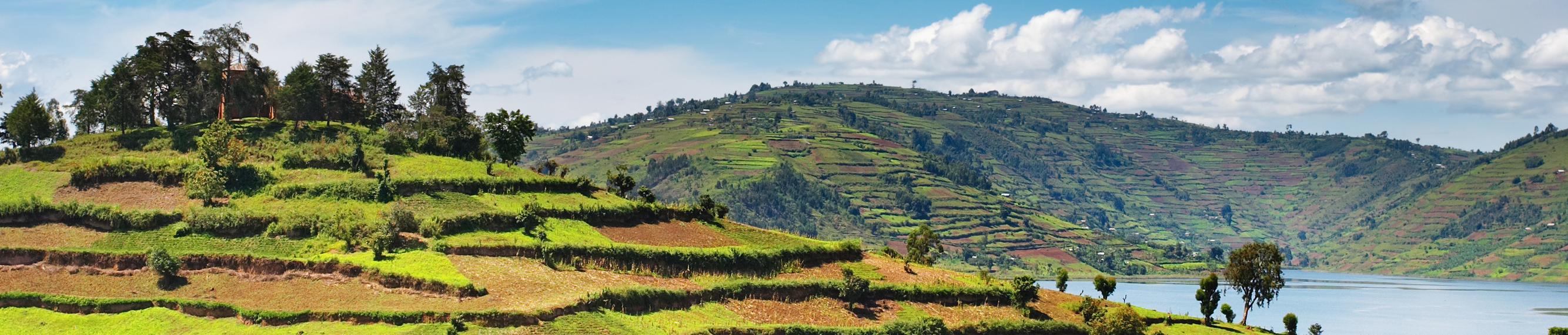 Oeganda reizen | Rondreis Oeganda | Koning Aap